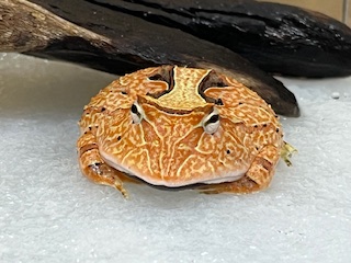 toLOVEる – 株式会社東亜アルミ技研、東大阪